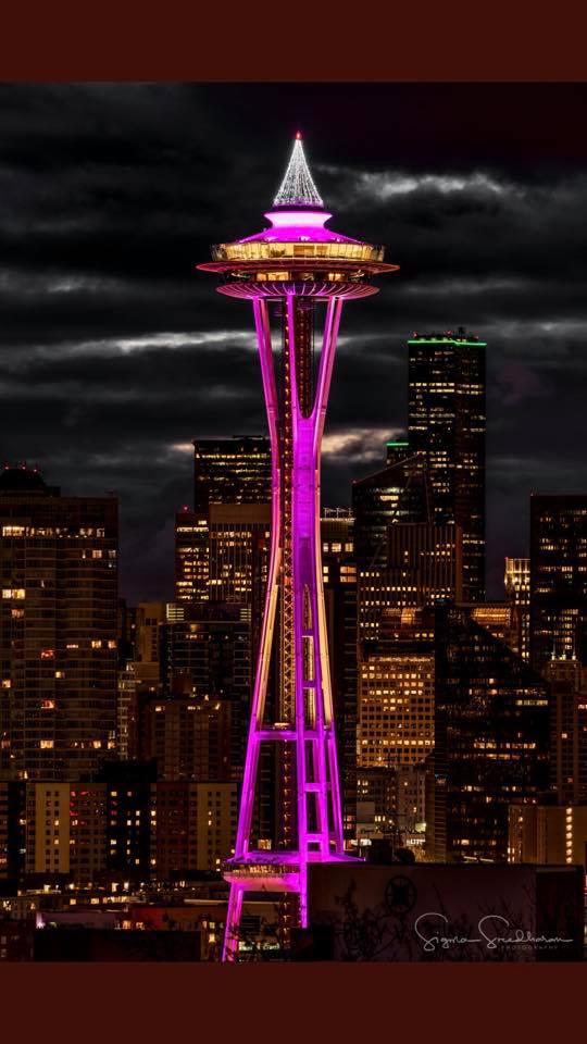 Space Needle New Year’s Eve - Audio Source, Inc.